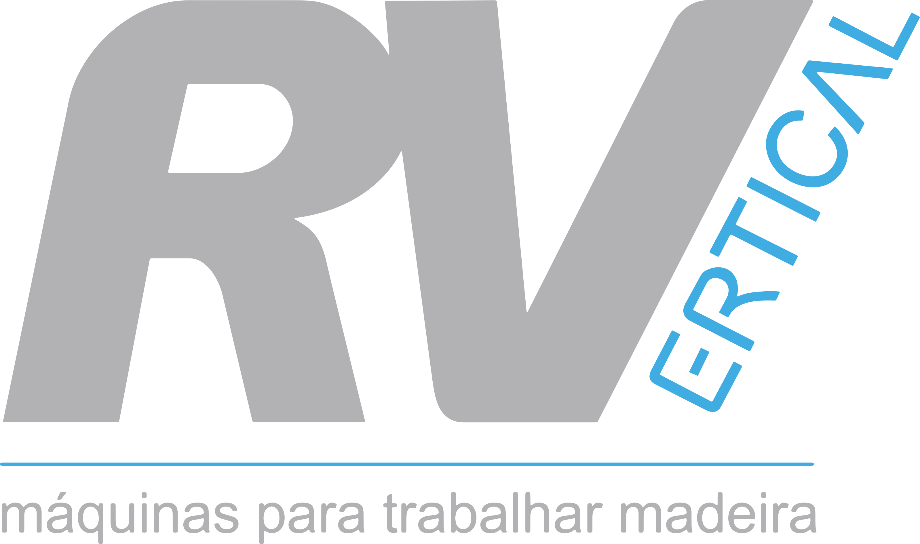 Rnv Logo